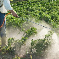 The “Pesticide Treadmill” | Just Label It
